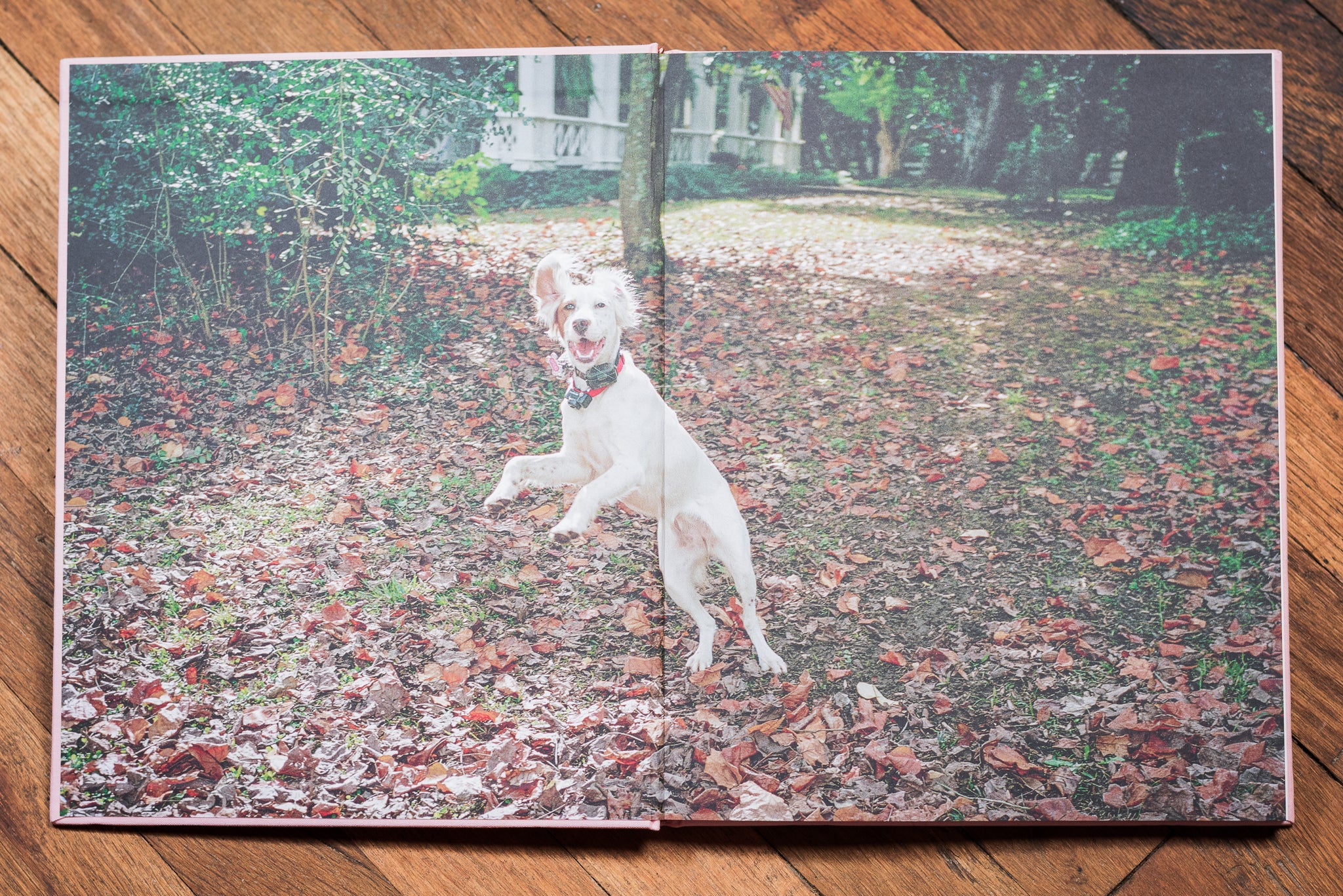 Nothing's Coming Soon – Fall Line Press